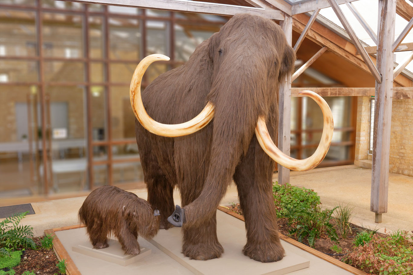 Voyagez au temps des Mammouths à Bougon | Département des Deux-Sèvres